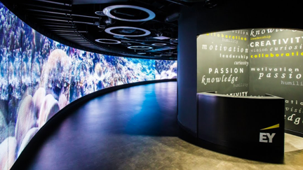 Making connections: Bringing complex data and insight to life for EY